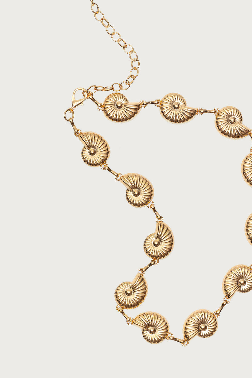 Coastal Chain Belt – edikted