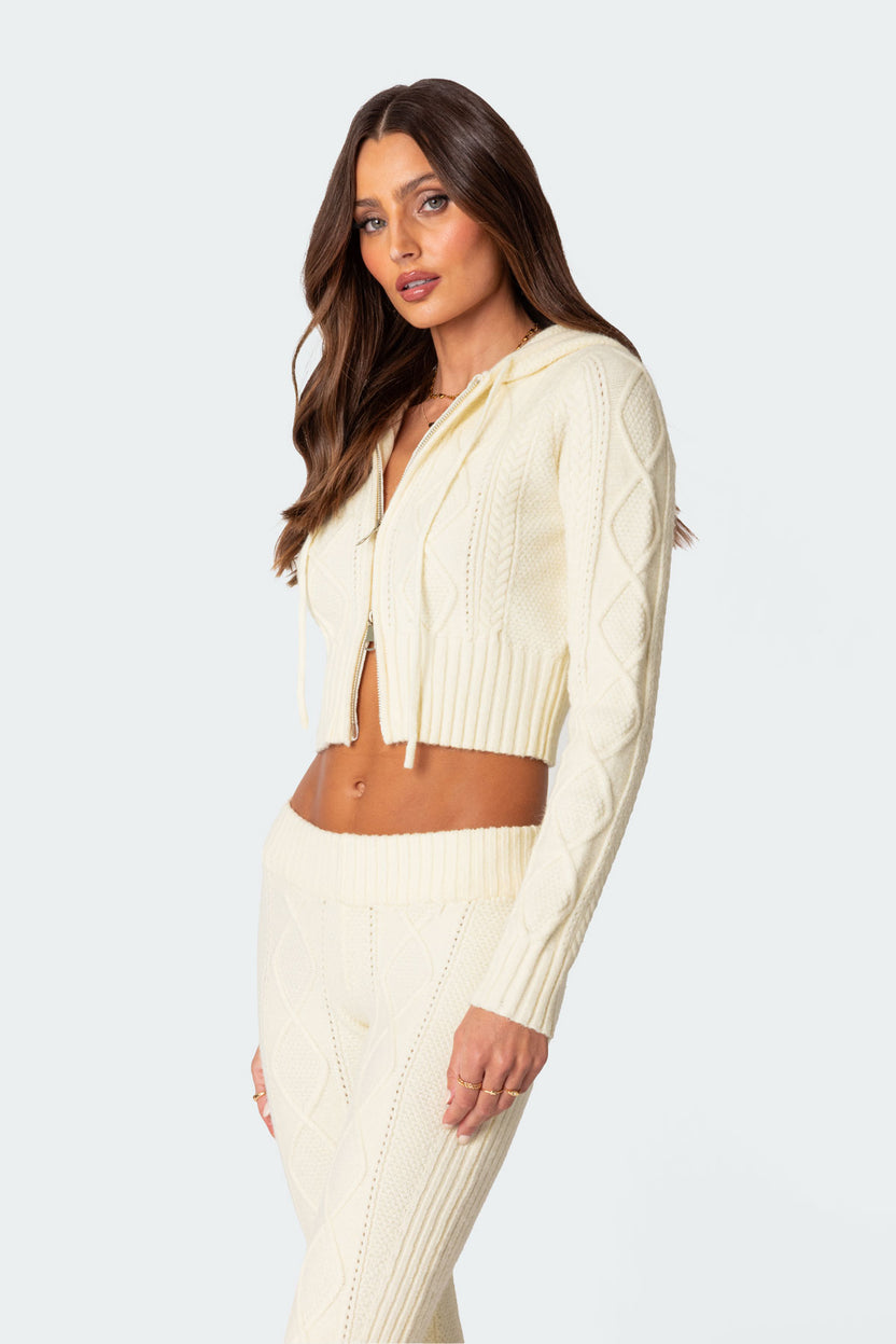 Ray Cable Knit Hooded Cardigan – edikted
