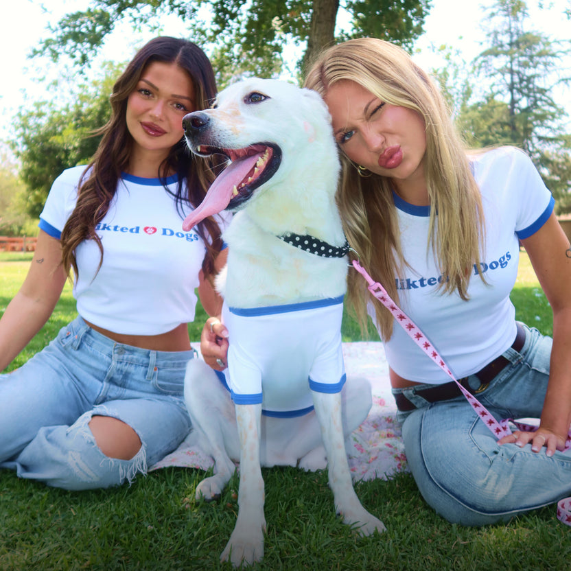 Edikted - Denim – edikted